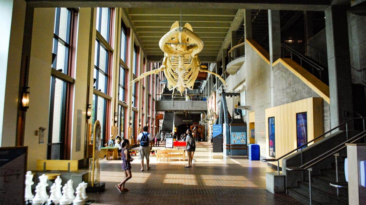 Family-Friendly Things to Do in Grand Rapids, Michigan