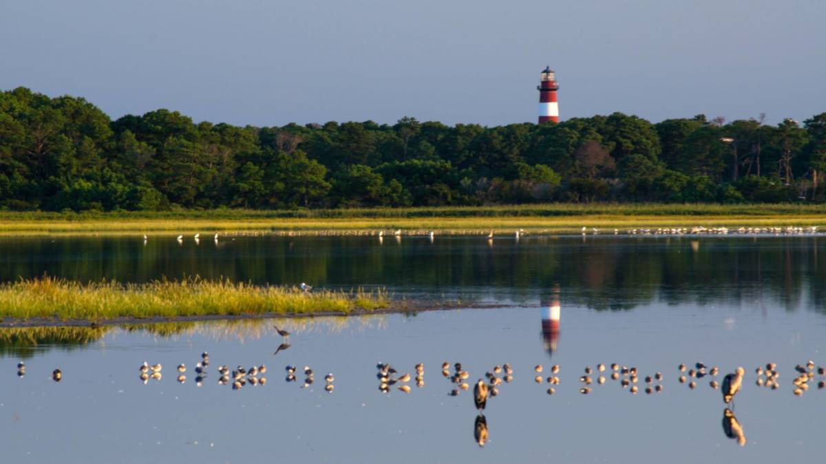 12 Must-See Lighthouses of the Atlantic Coast