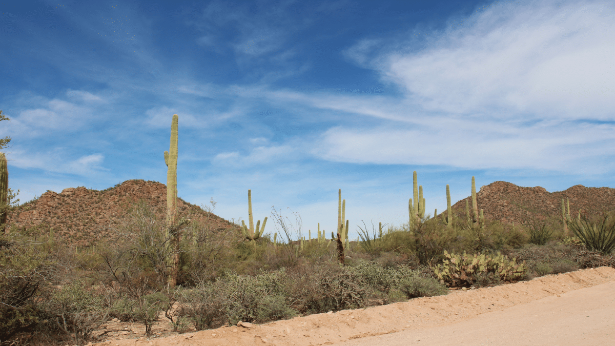 27 National Parks You Can Drive Through and Be Amazed