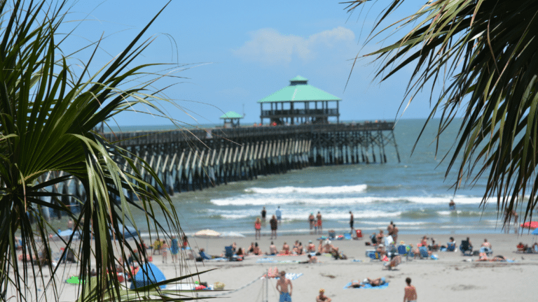 27 Best U.S. Beaches for Collecting Shells