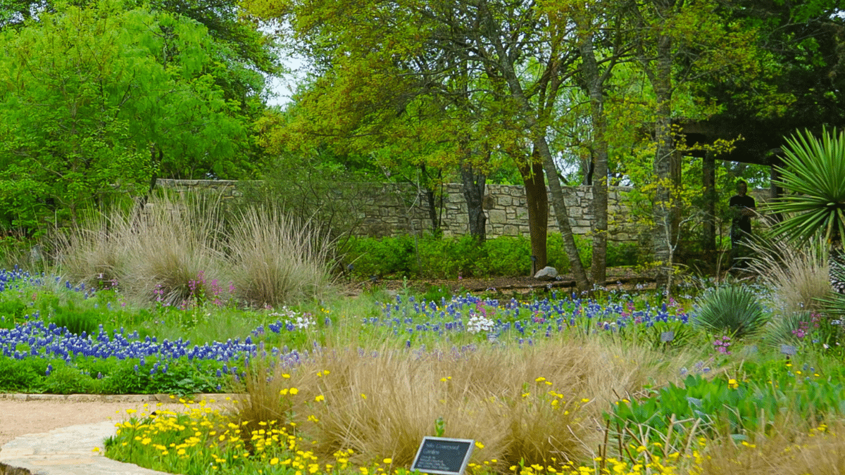 20 Incredible Places To Visit Within a Few Hours of Austin